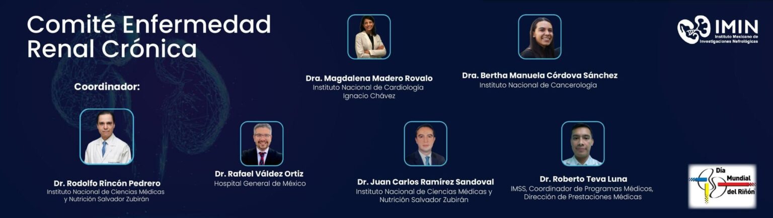 ComiteExpertos – IMIN