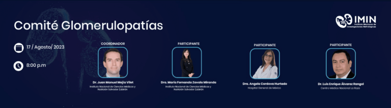 ComiteExpertos – IMIN